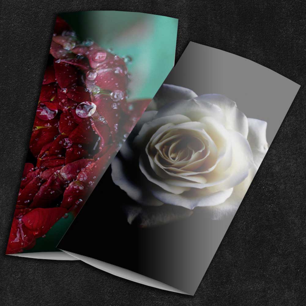 Premium Brochures | Cheque Store